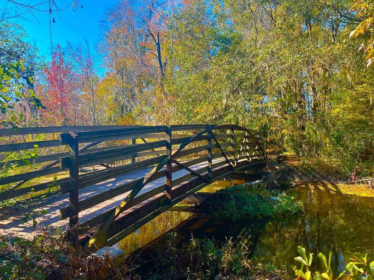 22 Unique Things to Do in Augusta, GA, By a Local Expert