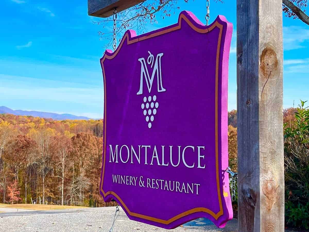 24 Unique Things to Do in Dahlonega, GA, By a Local Expert